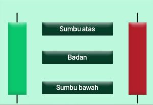 Inilah Panduan Cara Membaca Sinyal Candlestick untuk Trader Pemula - Blog Nanovest
